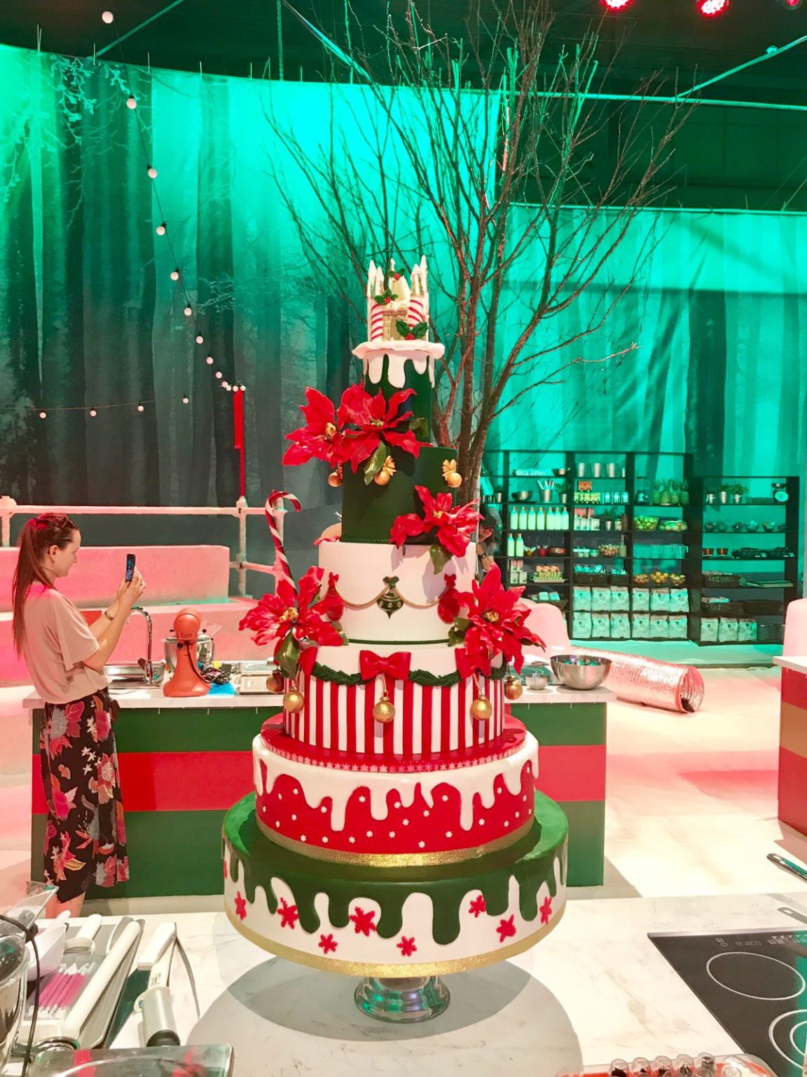 The Princess Switch (2018) – Castel Film & Netflix - Ana Consulea